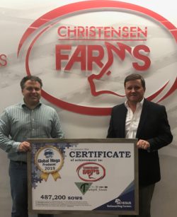 Global Mega Producer – Triumph Foods – True North Genetics
